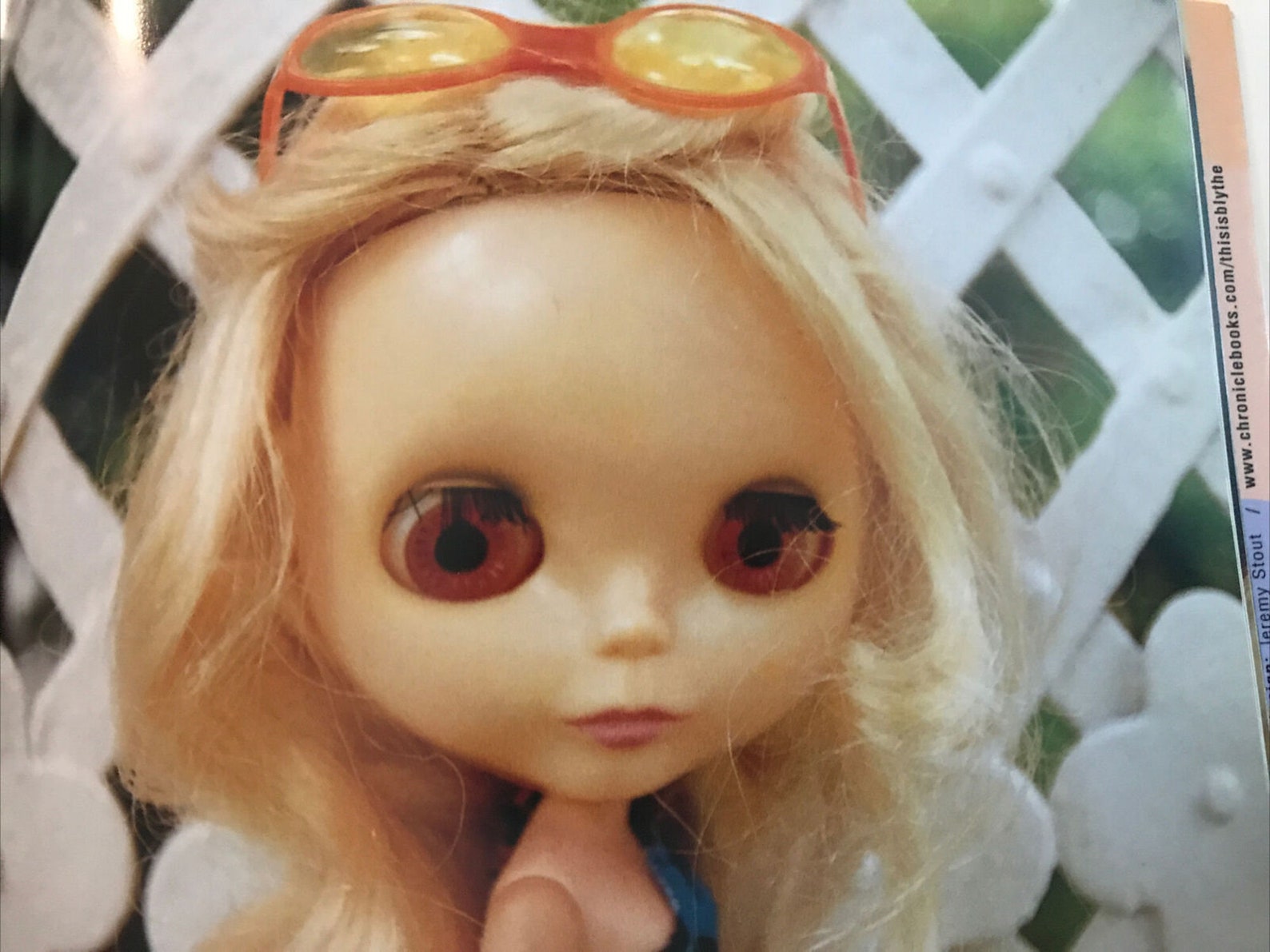 This is Blythe Doll Book Gina Garan 2000 Vintage 70s Mod - Etsy UK