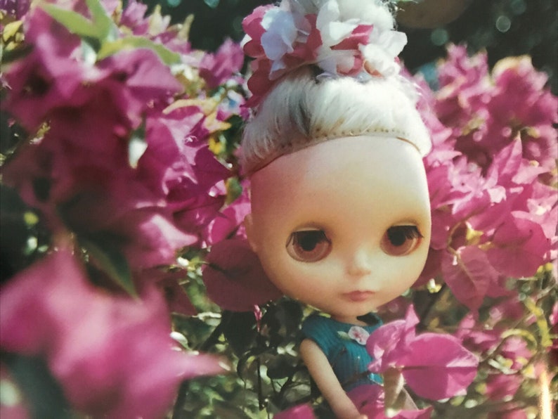 This is Blythe Doll Book Gina Garan 2000 Vintage 70s Mod - Etsy UK