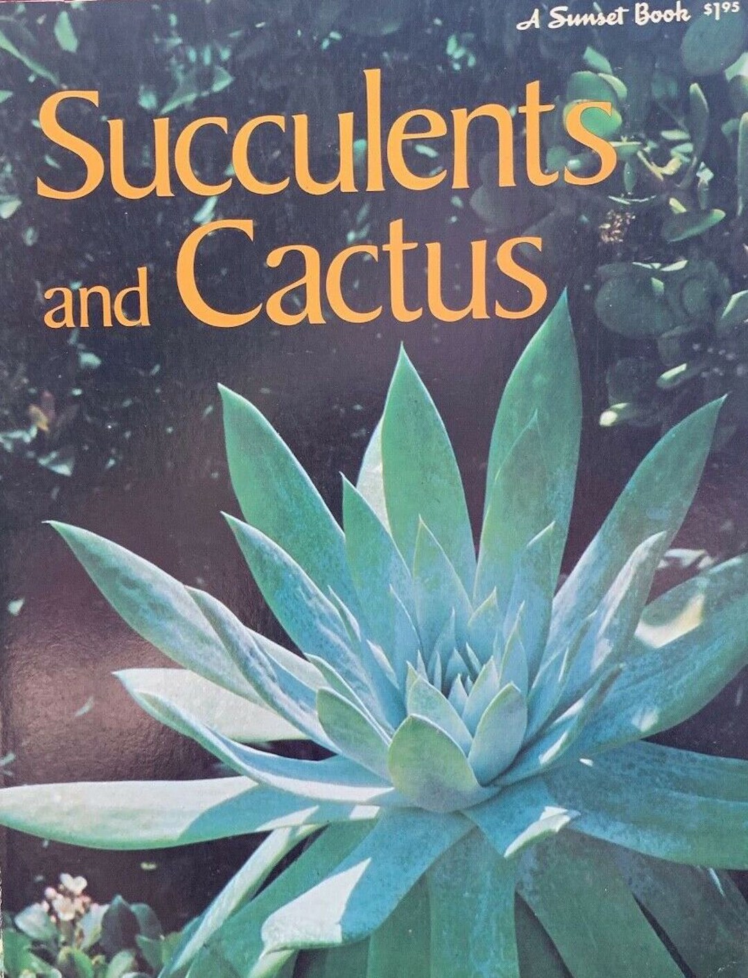 Succulents and Cactus A Sunset Book 1970 Mid Century Modern Gardening ...