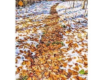 Indian Corn Print Autumn Print Fall Colors Art Colorful | Etsy