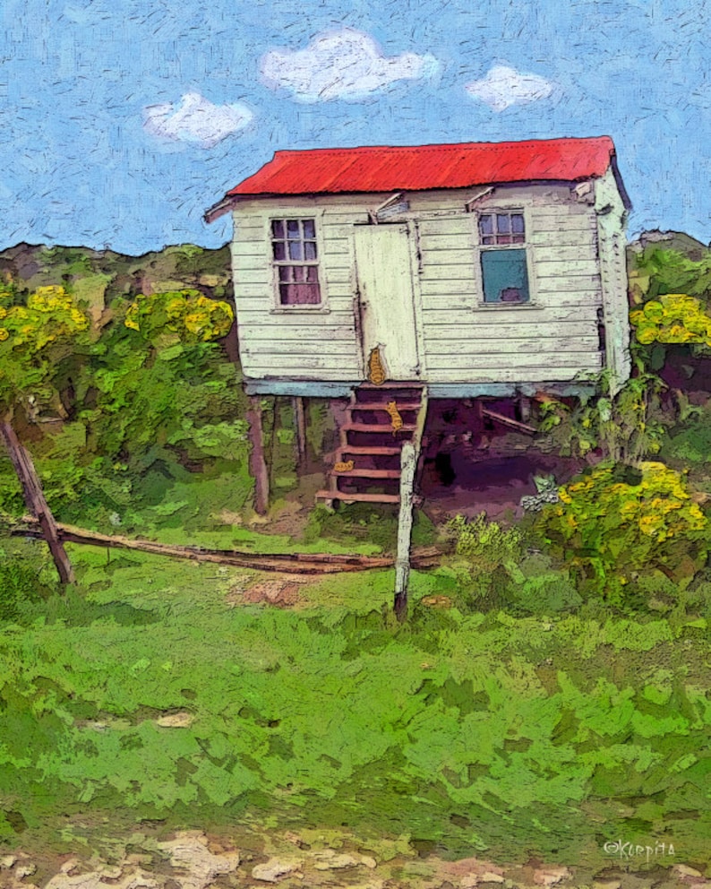 Tiny House Art Tropical Art Belize House Art Orange Cat | Etsy