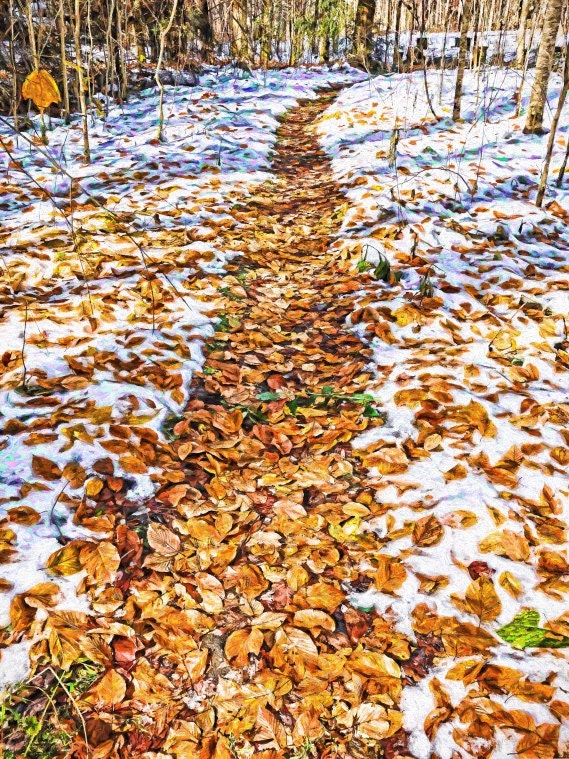 Fall Colors Print, Autumn Art, Colorful Leaves Art, Winter Scene, Fall ...