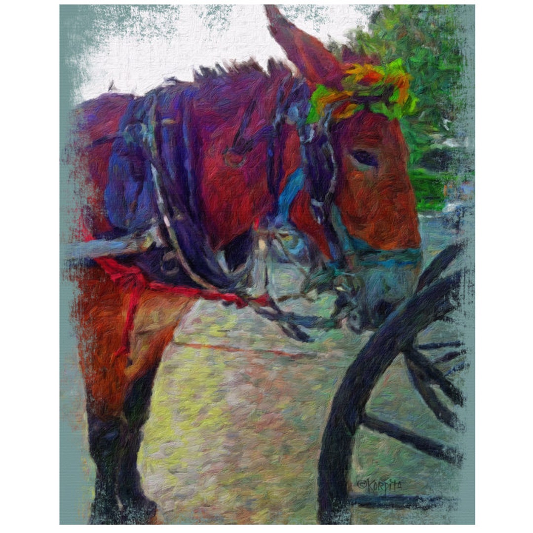 New Orleans Art, French Quarter Art, Carriage Mule Print, Mule With ...