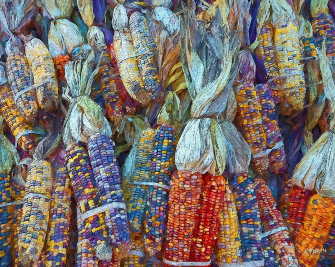 Indian Corn Print, Autumn Print, Fall Colors Art, Colorful Corn Art ...