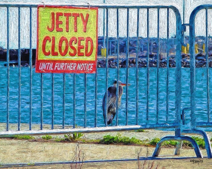 Coastal Art, Jetty Sign, Blue Heron Art, Funny Sign, Seashore, Blue ...