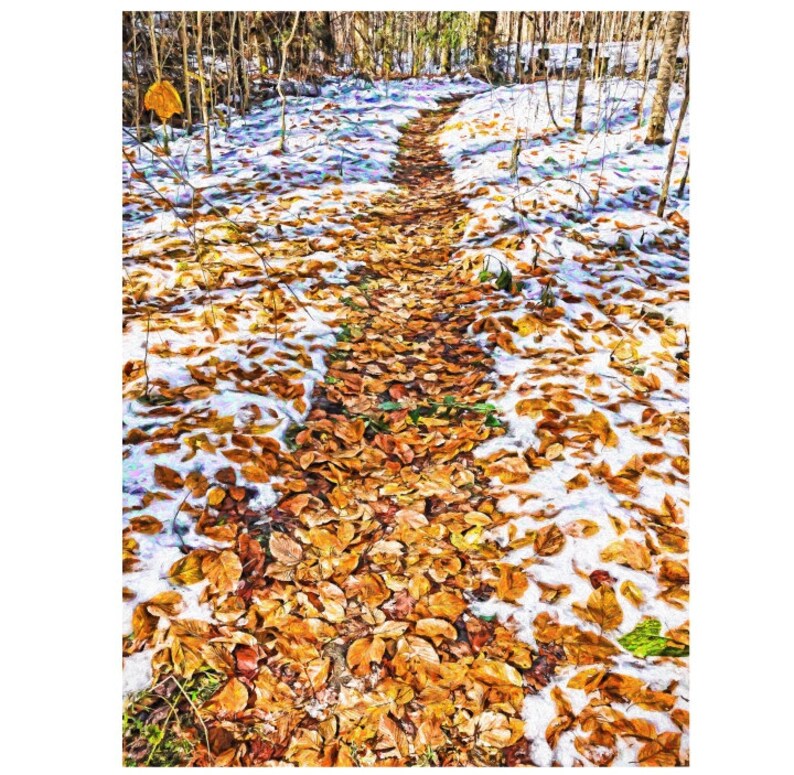 Fall Colors Print, Autumn Art, Colorful Leaves Art, Winter Scene, Fall ...