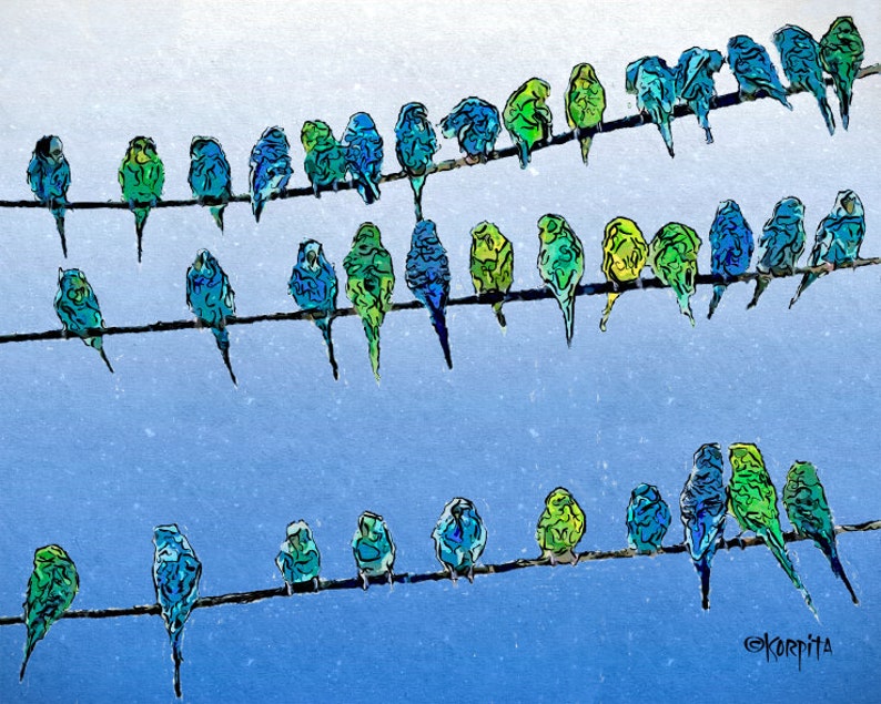 Colorful Parakeets, Birds on a Wire, Budgies, Bird Art, Parakeets Art ...