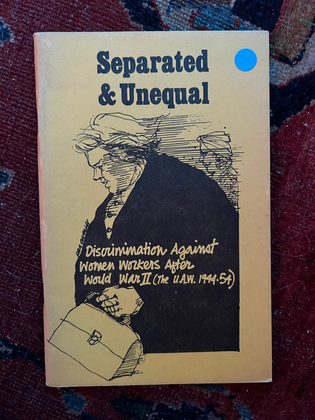 Separated and Unequal Pamphlet - Etsy