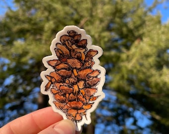 Pinecone Sticker, Vinyl Sticker, Botanical Sticker, Sticker for Laptop ...