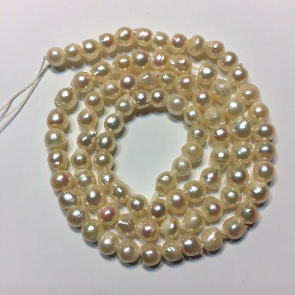 Akoya Pearls - Etsy
