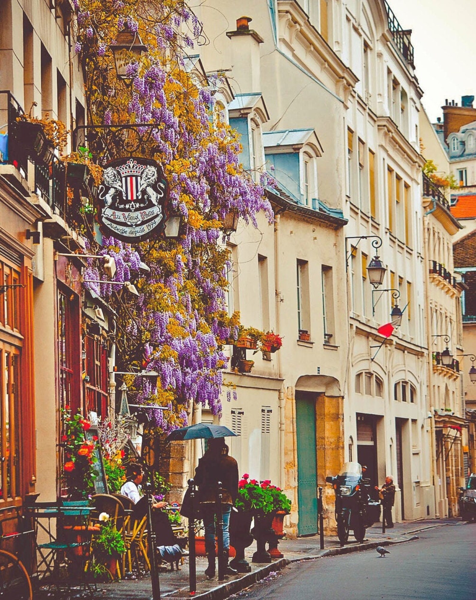 Paris Street Photography Print, Wisteria, Francophile Gift - Etsy