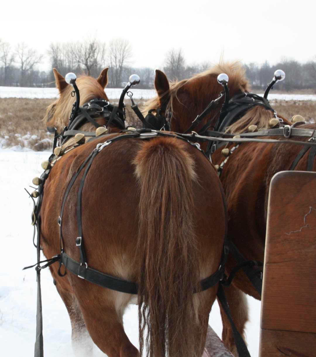 Custom Solid Brass or Silver Sleigh Bell Set for Draft Team- Handmade ...