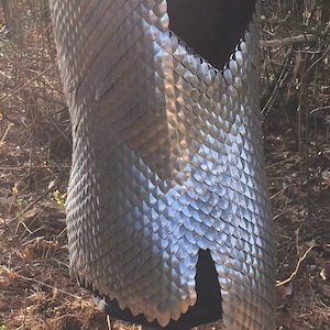 Standard Scalemail Armor - Etsy