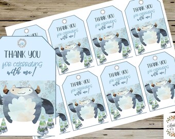 Yeti Birthday Party | Etsy