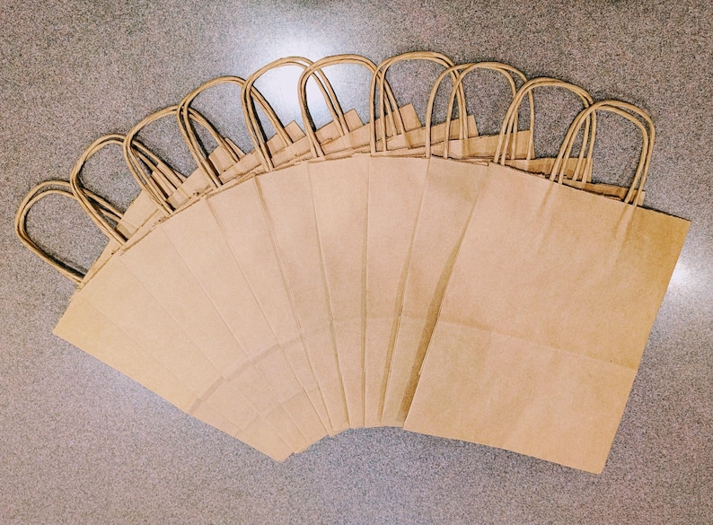 Paper Shopping Bags | Craft Paper | Gift Bags | Blank | Party Favors ...