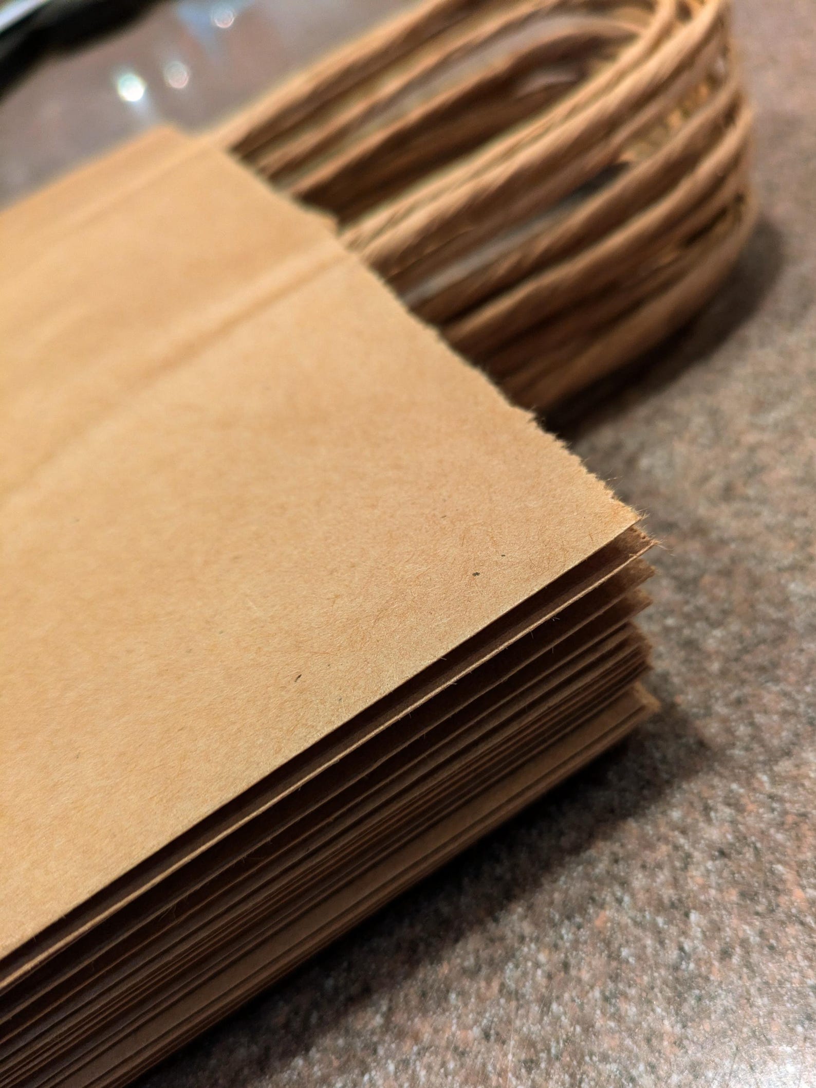 Paper Shopping Bags | Craft Paper | Gift Bags | Blank | Party Favors ...
