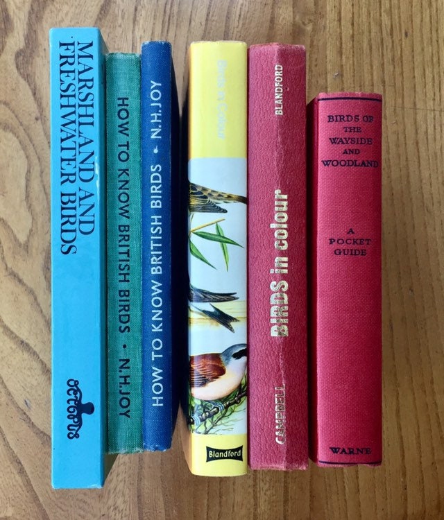 Vintage Bird Books. Various titles all published in the 1960s | Etsy