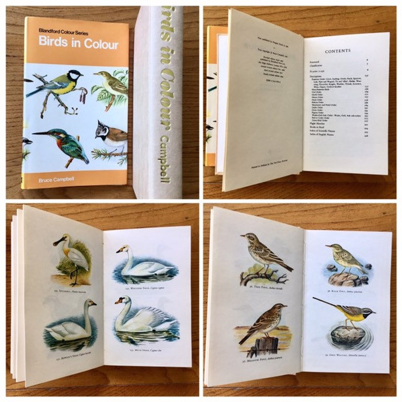 Vintage Bird Books. Various Titles All Published in the 1960s - Etsy UK