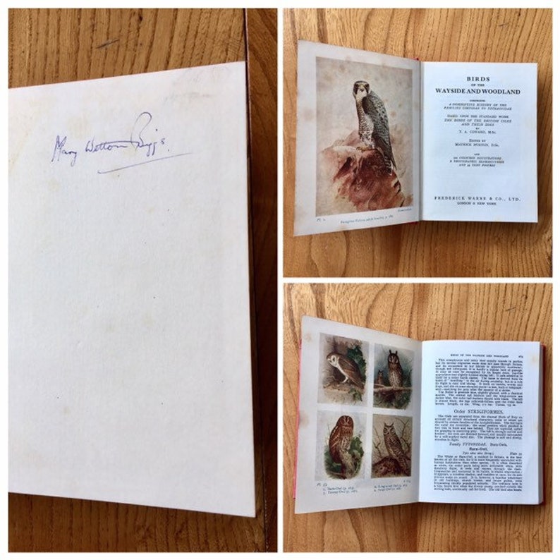 Vintage Bird Books. Various titles all published in the 1960s | Etsy