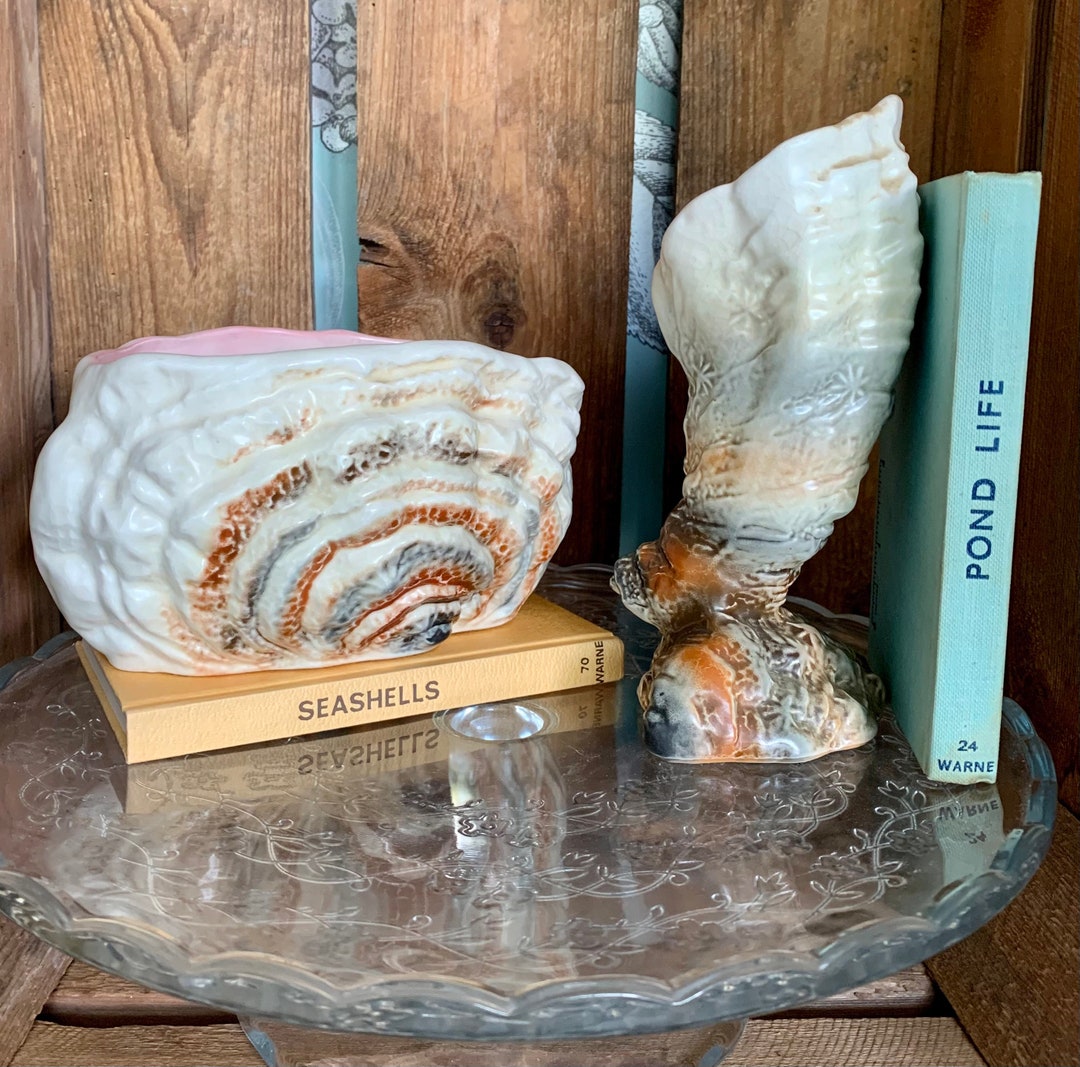 RARE Vintage Sylvac Shell Vases. Made in England in the 1950s. Stamped ...