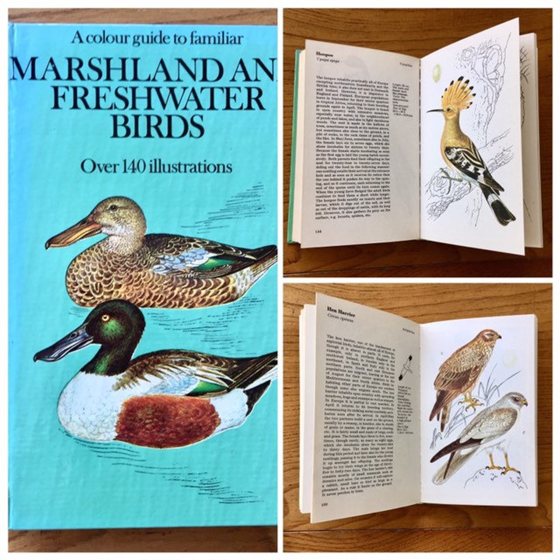 Vintage Bird Books. Various titles all published in the 1960s | Etsy
