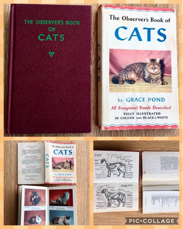 Vintage Observers Books. Various Titles With or Without Dust - Etsy UK