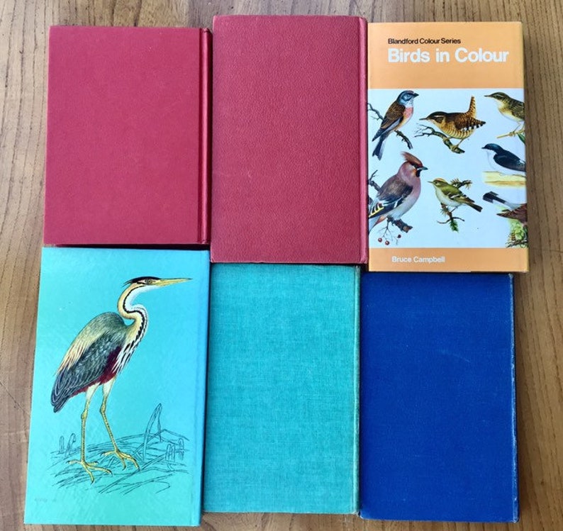 Vintage Bird Books. Various Titles All Published in the 1960s and 70s ...