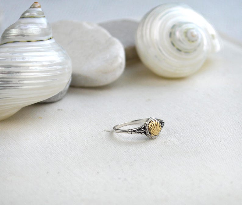 Tiny Seashell Ring, Shell Signet Ring, Dainty Seashell Ring, Cape Cod ...