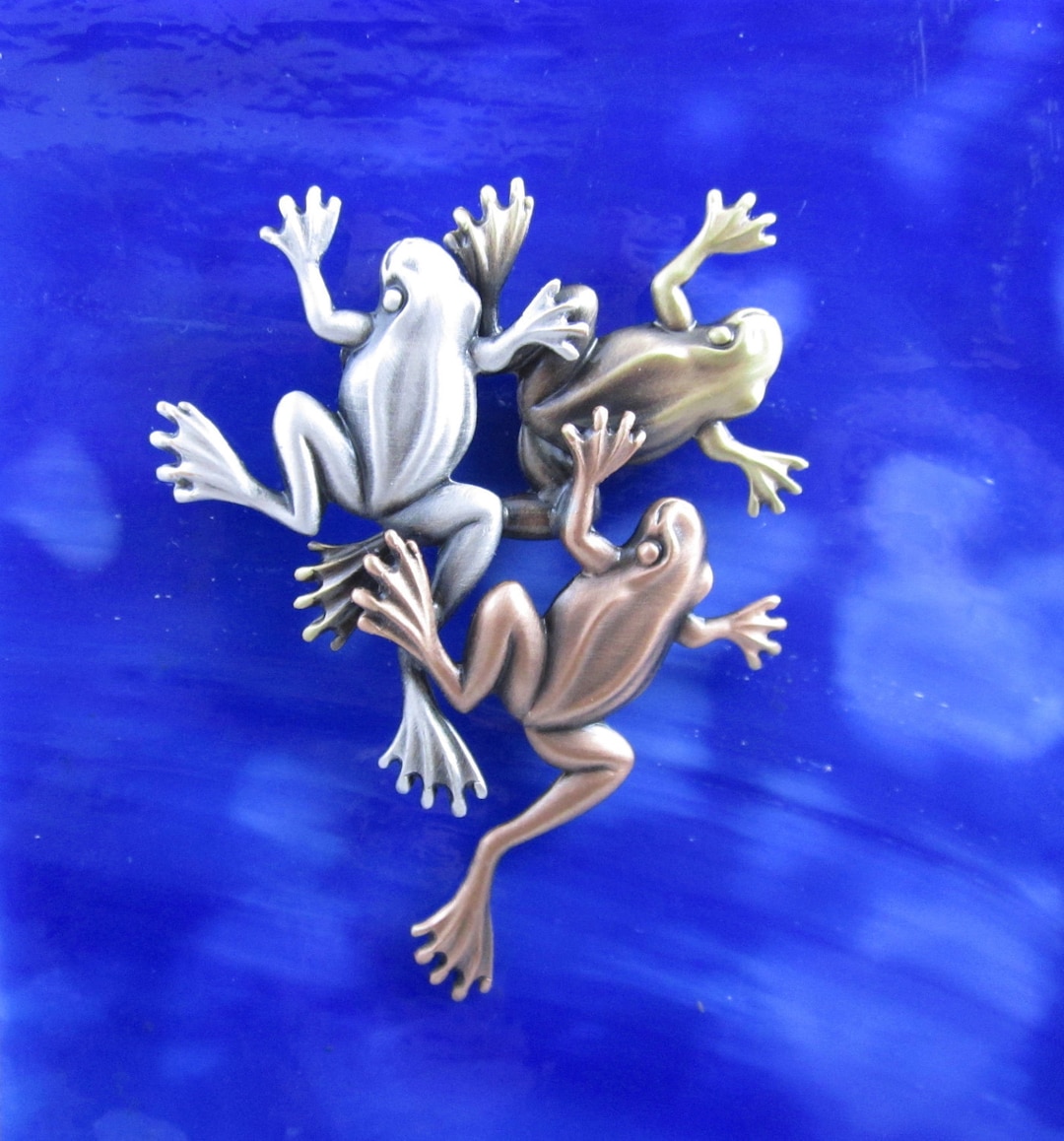 Frog Brooch- Froggy- Frog Pin- Frog Gifts- Frog Jewelry - Etsy