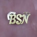 BSN Pin- BSN Brooch- BSN Pinning Ceremony- Nurse Gift - Etsy