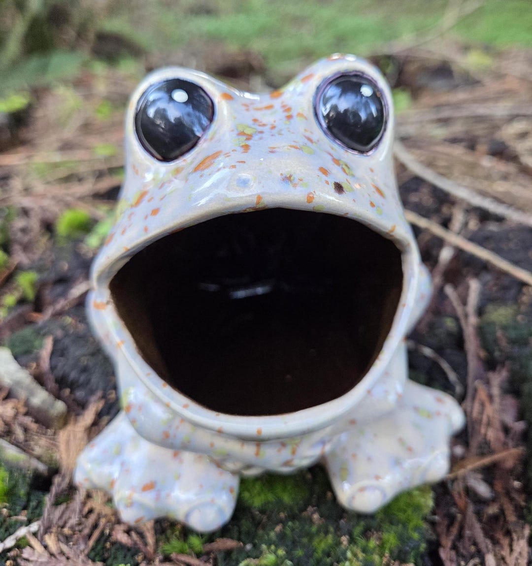 Retro Ceramic Frog Scrubby Sponge Holder Vintage Mold Toad Kitchen Sink ...