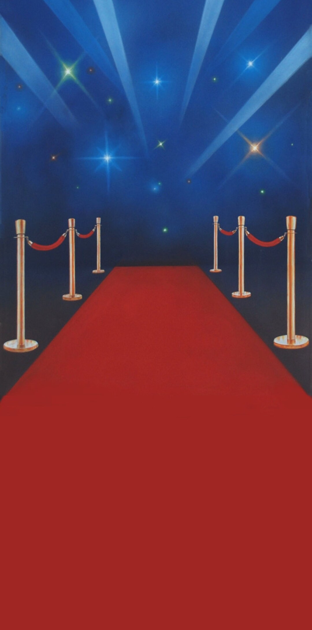 Full Length Photography Background, 3D Photo Backdrop softeez 10x20 Ft ...