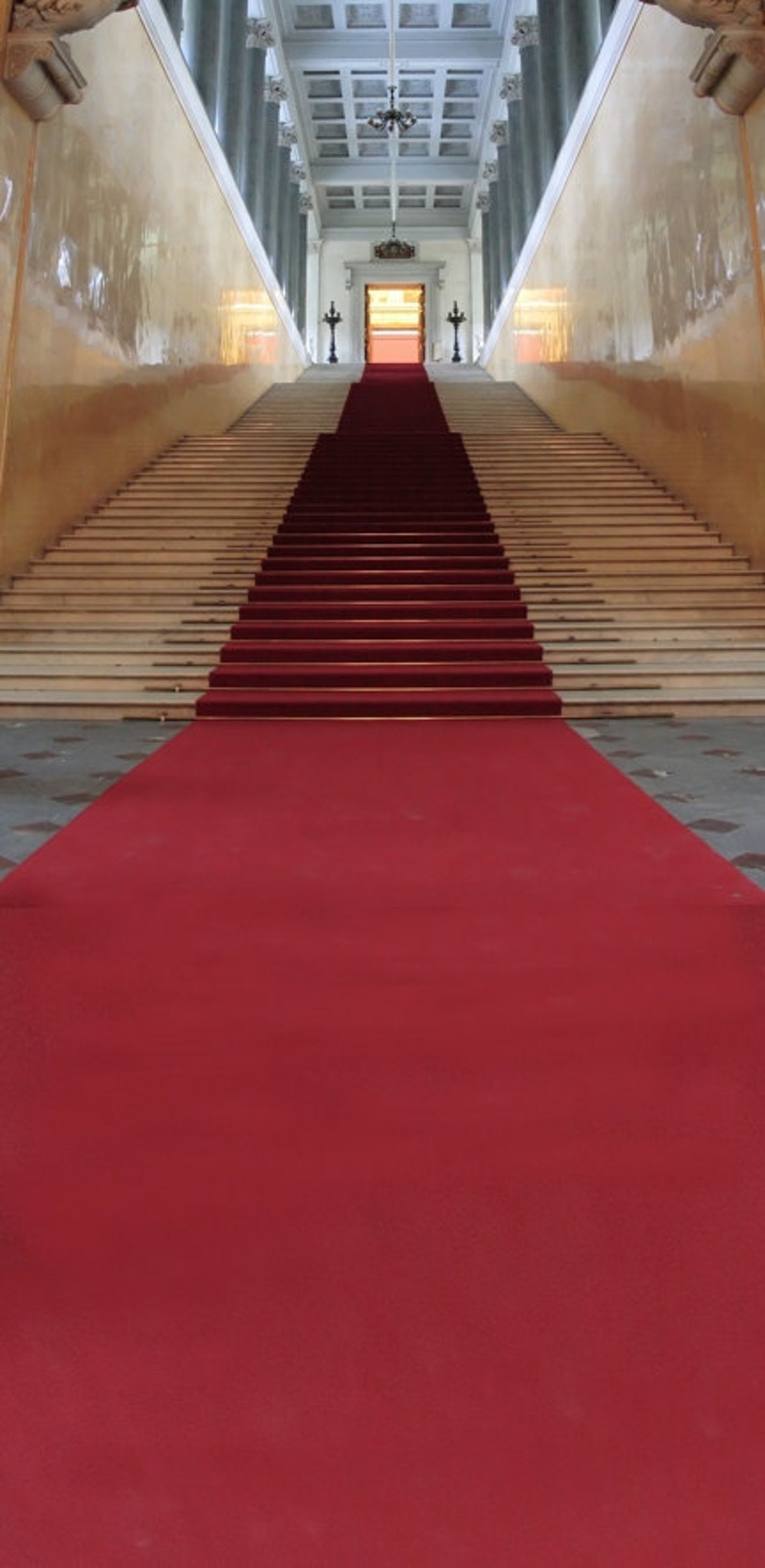 Full Length Photography Background, 3D Photo Backdrop softeez 10x20 Ft ...