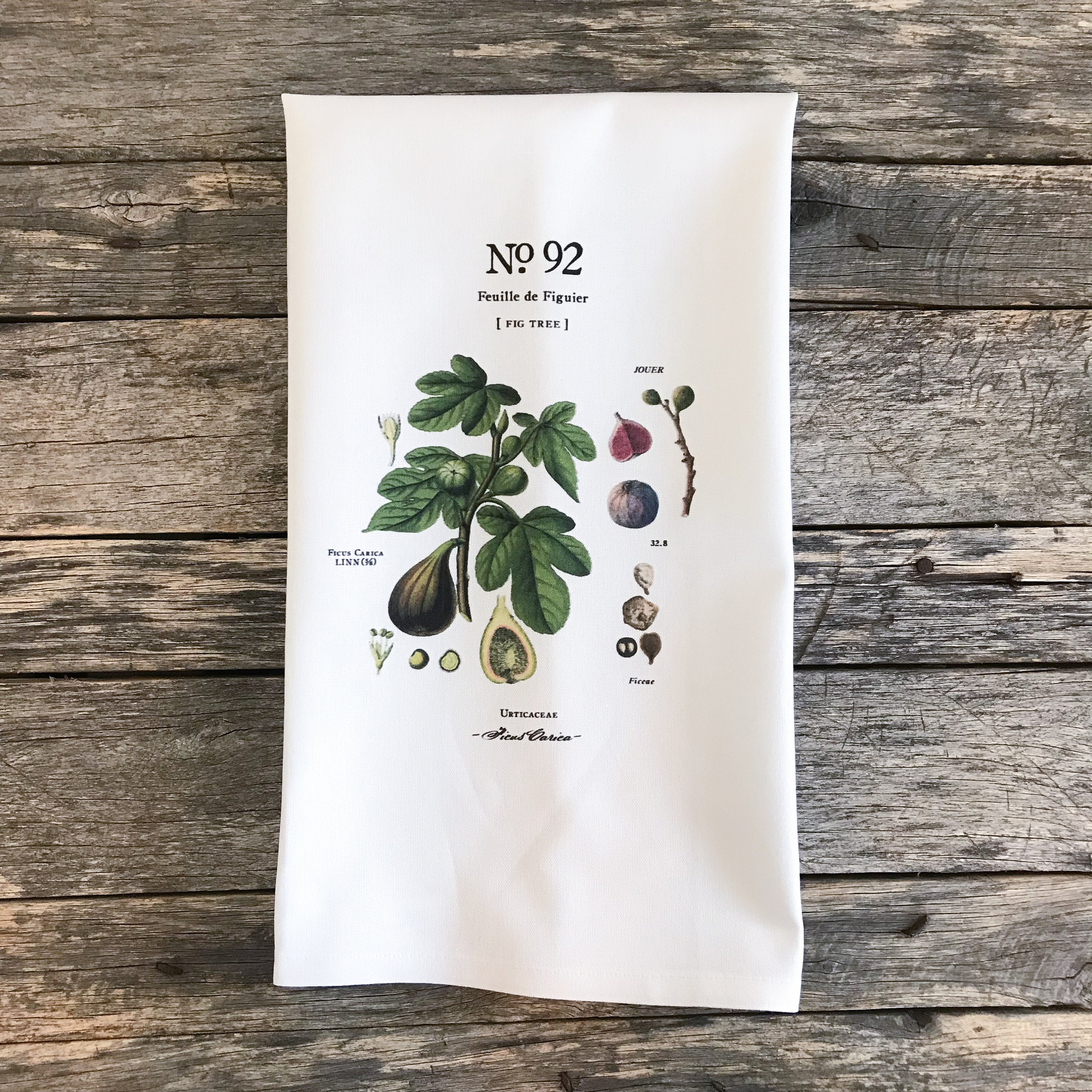 Fig Tree Botanical | Etsy