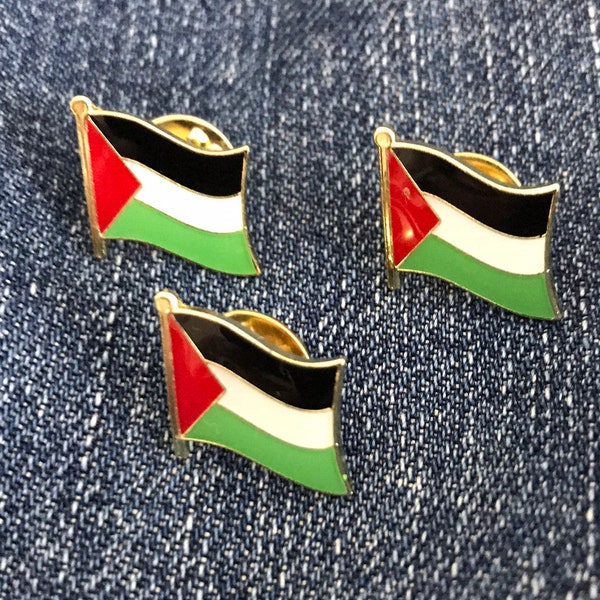Palestine Pin - Etsy UK
