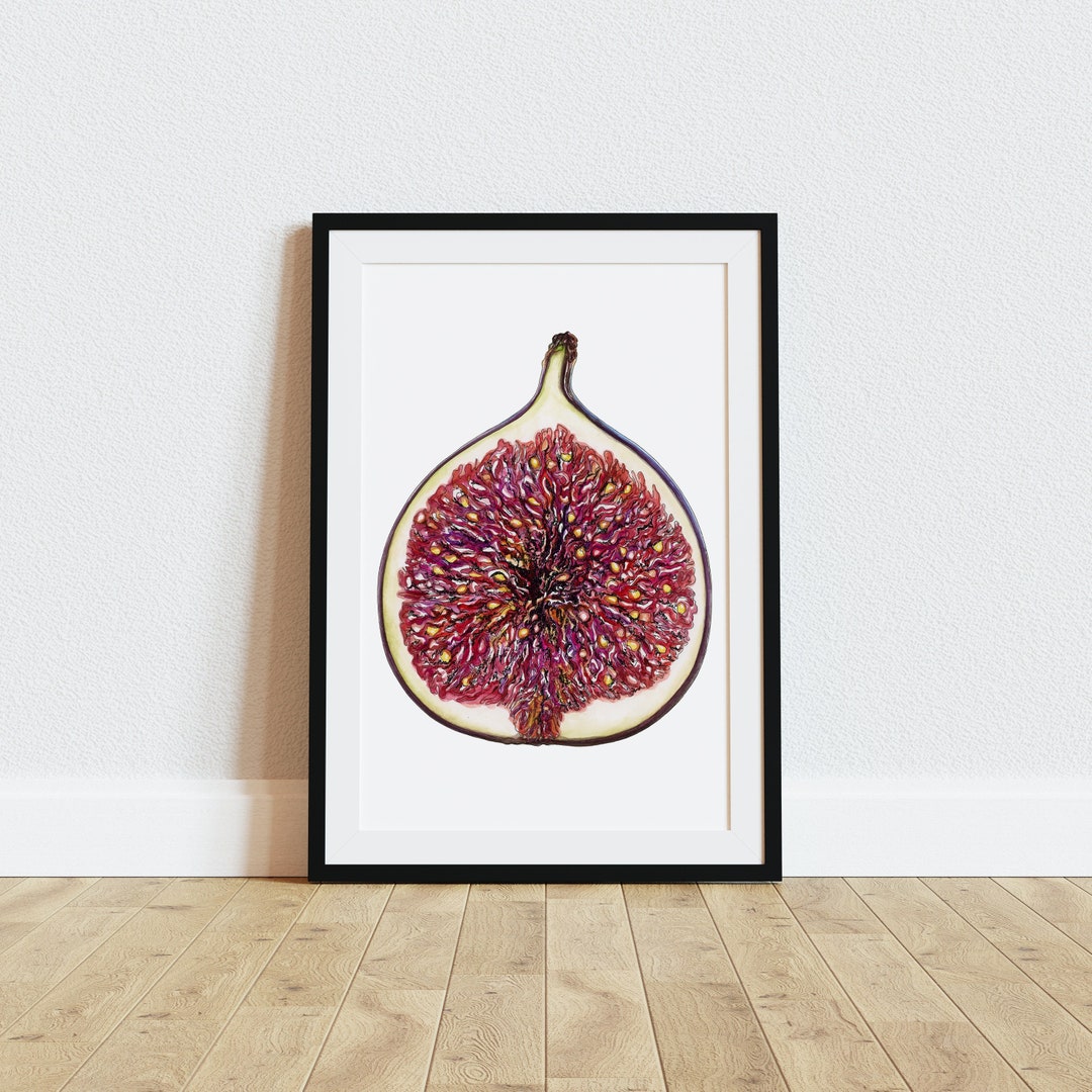 Fig Botanical Drawing, Fruit Print, Kitchen Art, Kitchen Decor ...