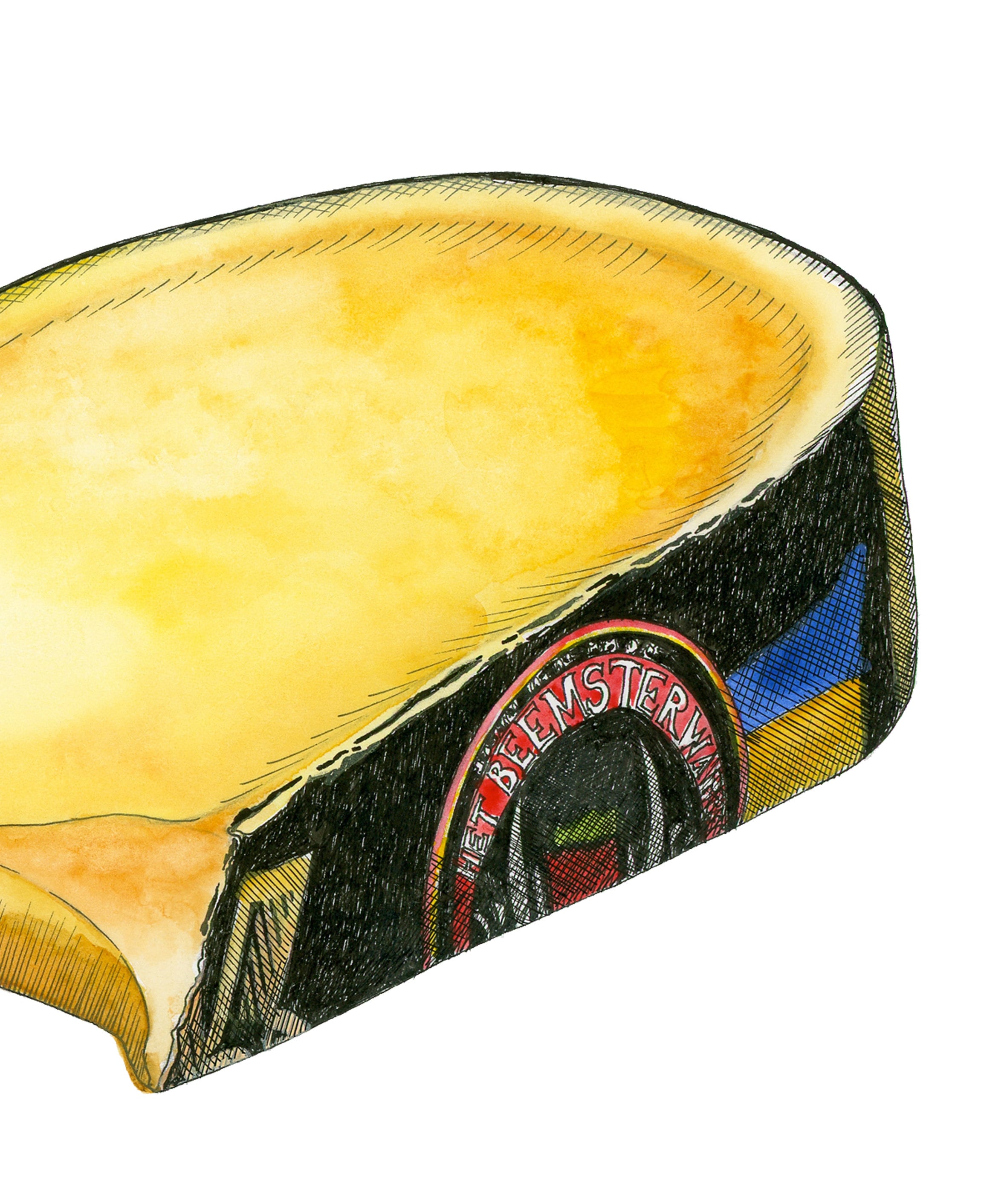 Gouda Cheese Drawing, Hand Drawn, Cheese Illustration, Kitchen Art ...