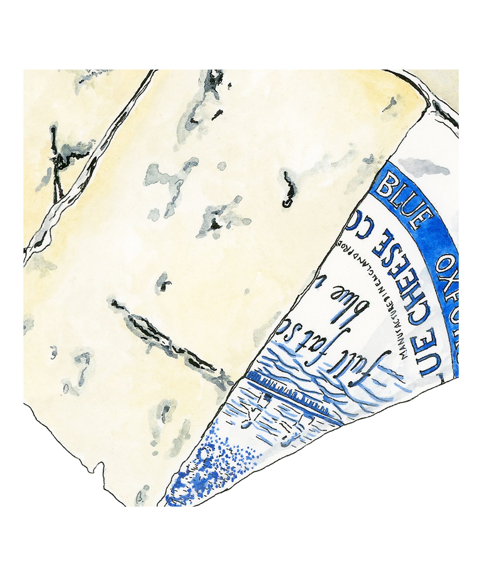 Oxford Blue Cheese Drawing Giclée Print Cheese illustration | Etsy