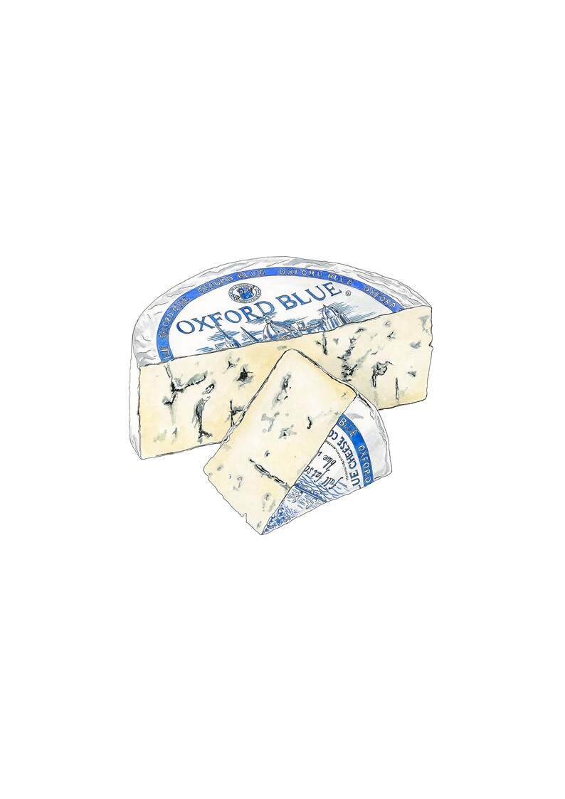 Oxford Blue Cheese Drawing Giclée Print Cheese Illustration - Etsy