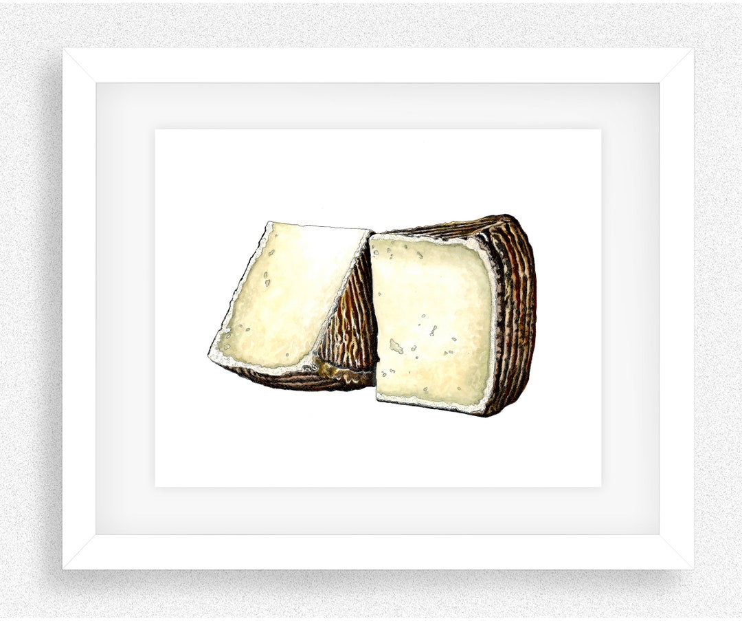 Pecorino Cheese Drawing, Hand Drawn, Cheese Illustration, Kitchen Art ...
