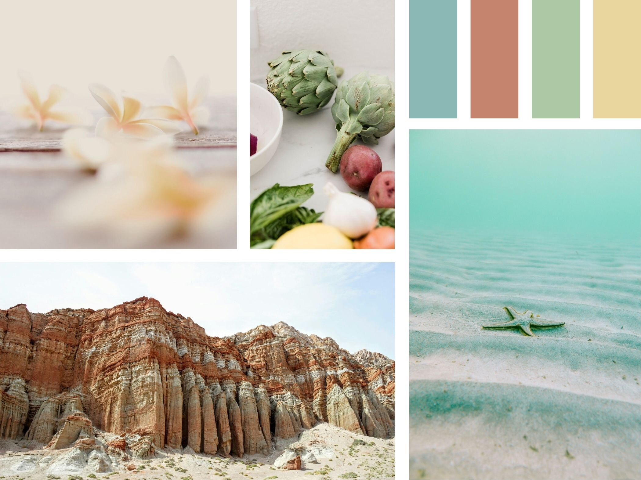 Kiera Wellness Color Palette Template, Kiera Wellness Theme, Canva ...
