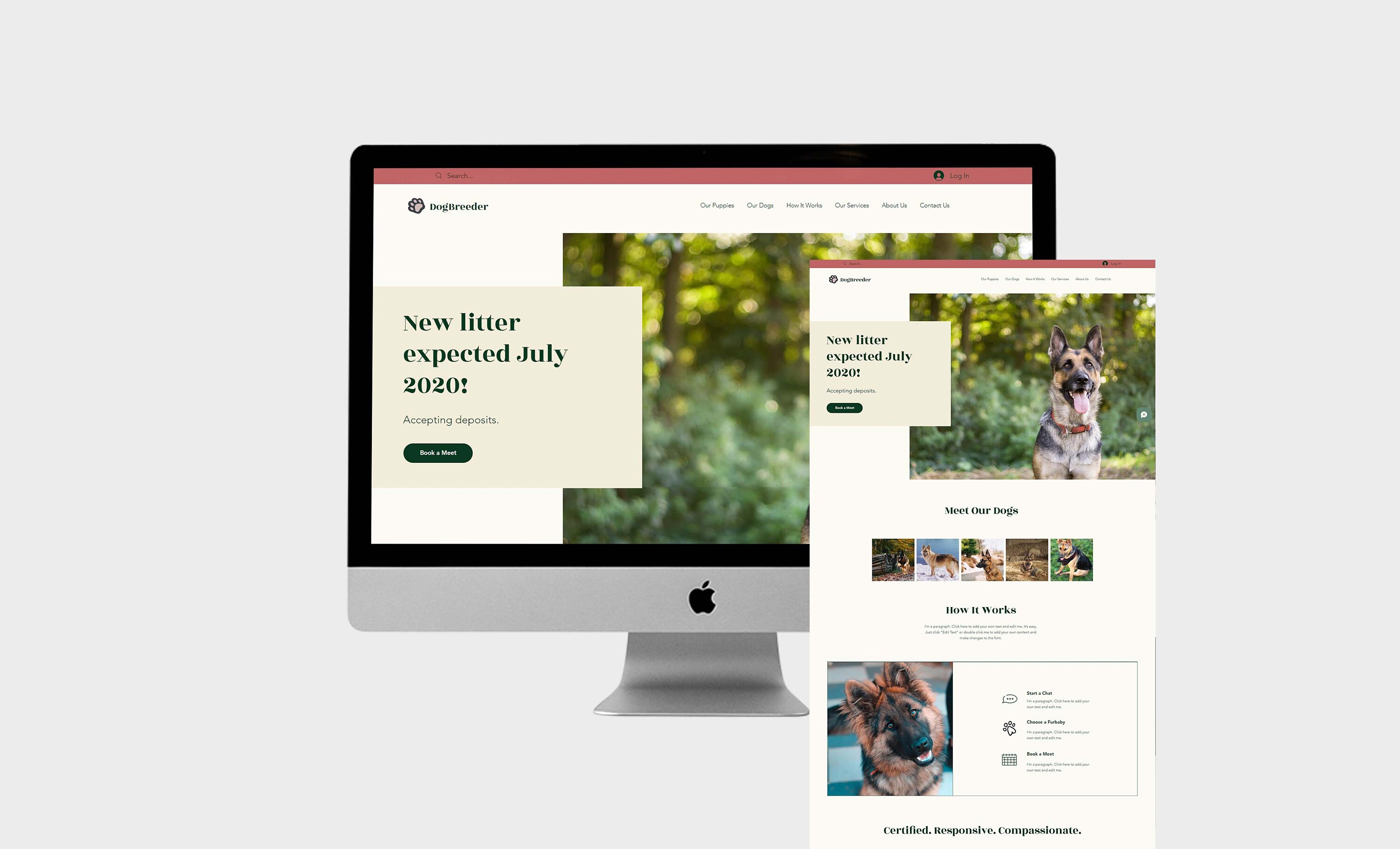 Dog Breeder Advanced Website Template 9074, Website Design, WIX Website ...