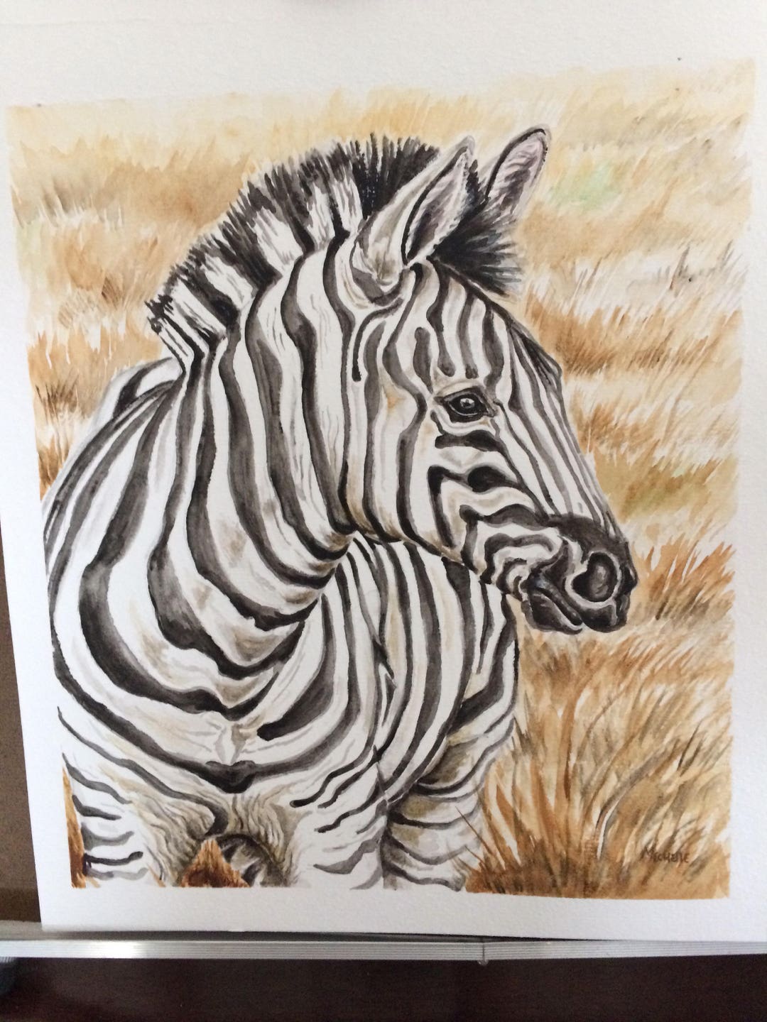 Zebra Watercolor Painting - Etsy