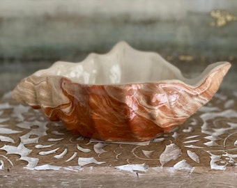 Pottery Shell Bowl | Etsy