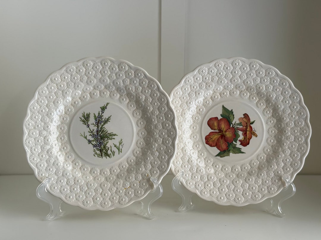 Spode Bermuda Flowers Luncheon Plates, Hibiscus or Juniper, Price is ...