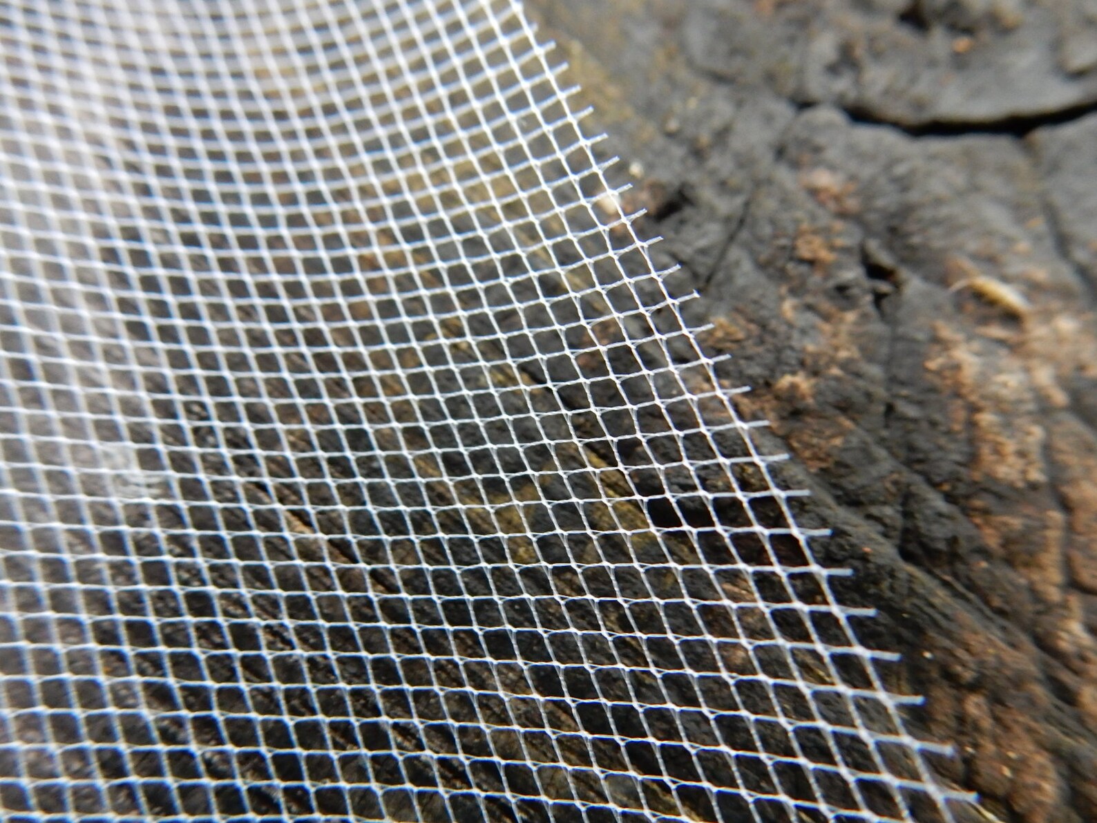 Bridal Illusion Tulle Fabric by the Yard DYI Veil Weddings | Etsy