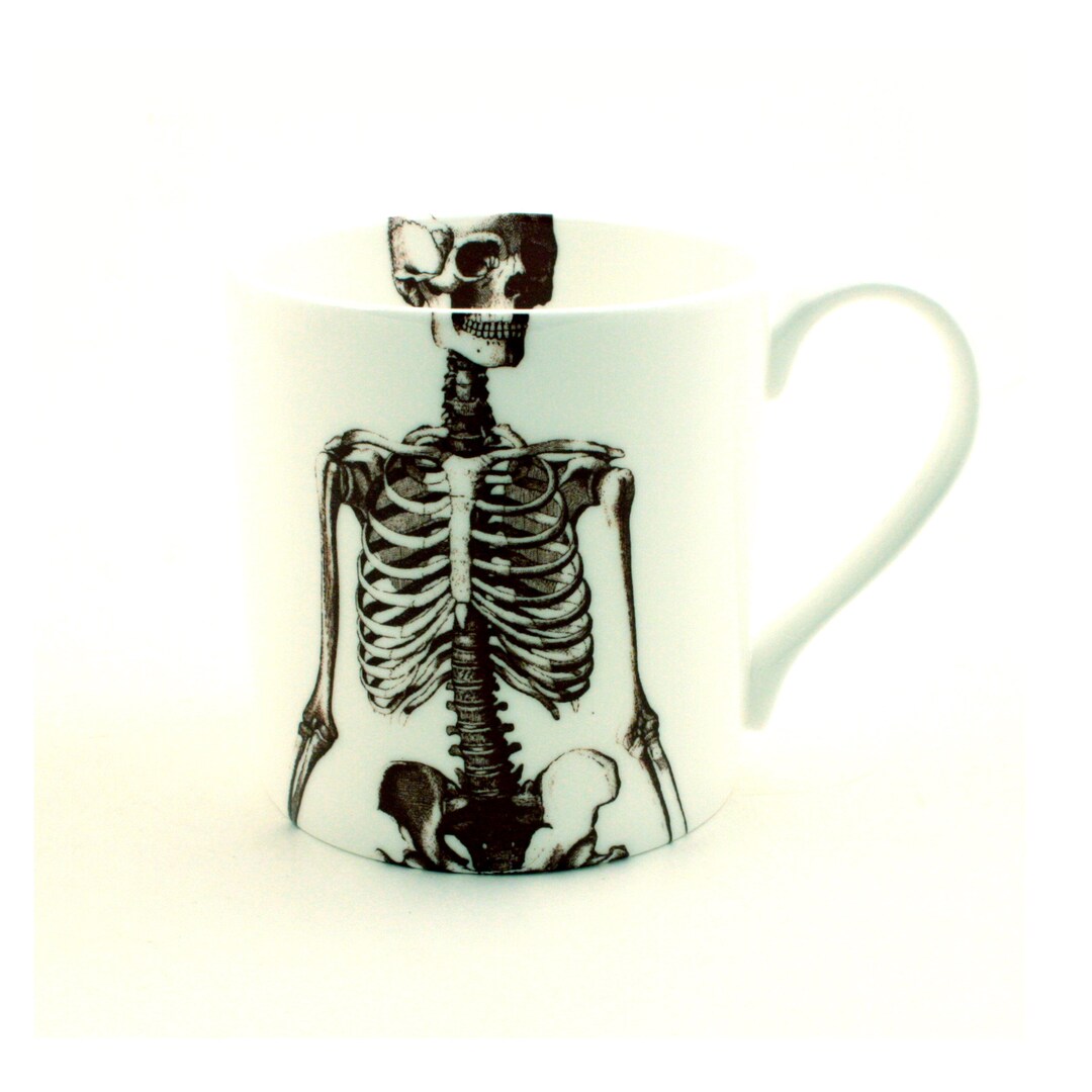 Skeleton Anatomical Mug, Bone China Tea or Coffee Mug, Anatomy Gothic ...