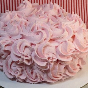 One Fake Cake BASE Vanilla or Chocolate Faux Frosting DECORATE Your OWN ...