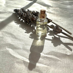 Miniature Zen Garden Kit With Lavender Essential Oil & Aroma Diffuser ...