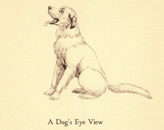 1940s Vintage Dog Poem Poetry Print Wall Decor Dog Ode Memorial Print ...